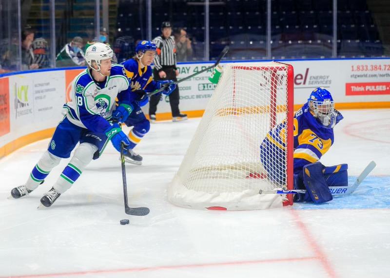 Warren product fighting for playoff position in rookie season - PortageOnline.com - Local news ...